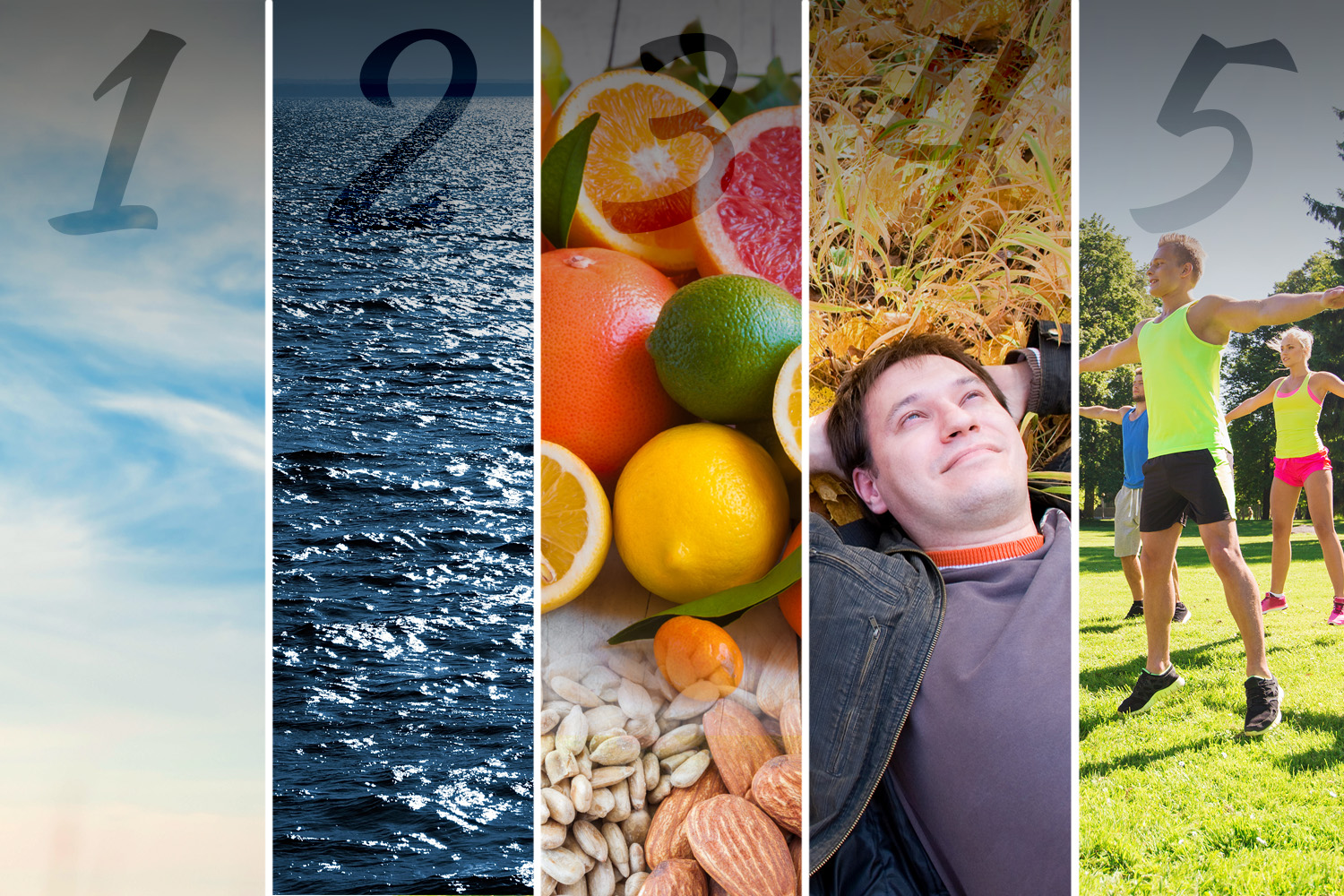 Five Requirements for Physical Life: An Object Lesson for Spiritual ...